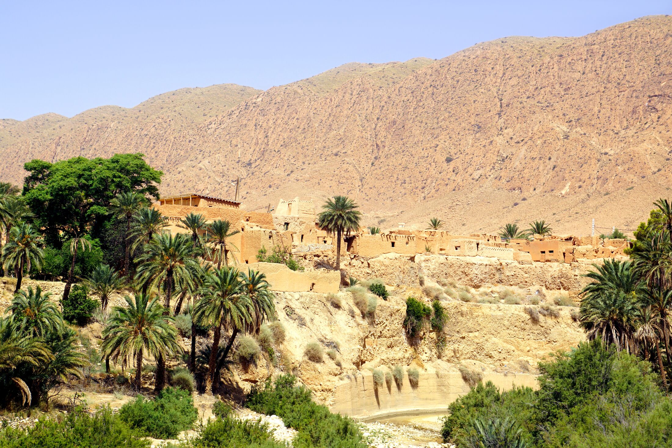 Affordable flights to Biskra from €77 | Transavia